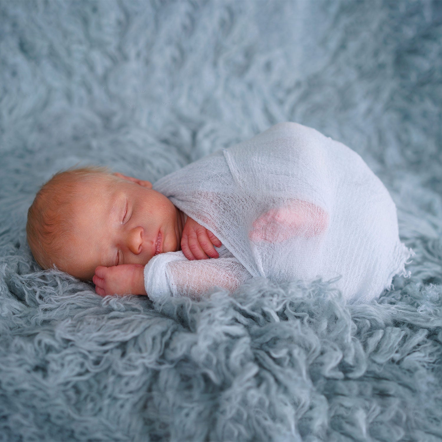 Baby Canon - Prototype by Bountiful Baby – Alexa Calvo