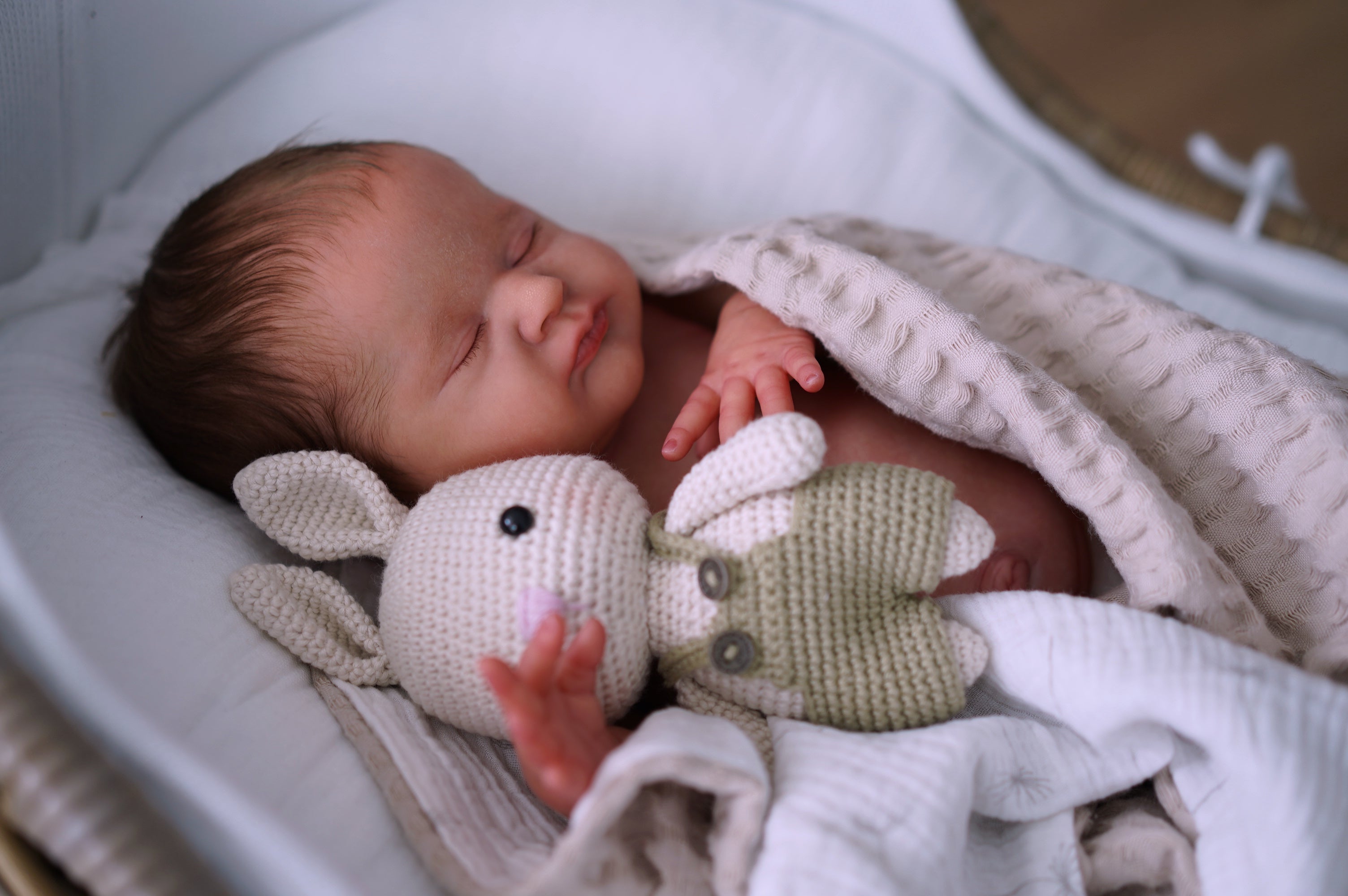 Baby Max - Reborn by Laura Lee Eagles – Precious Wonders